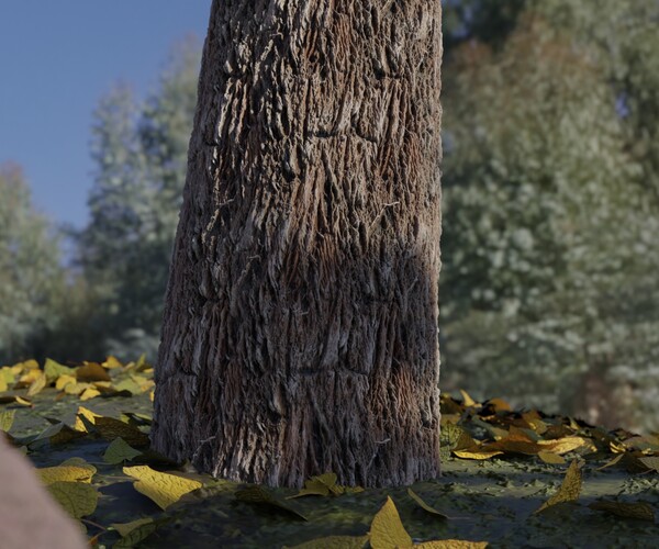 ArtStation - photoscanned Tree cortex texture | Resources