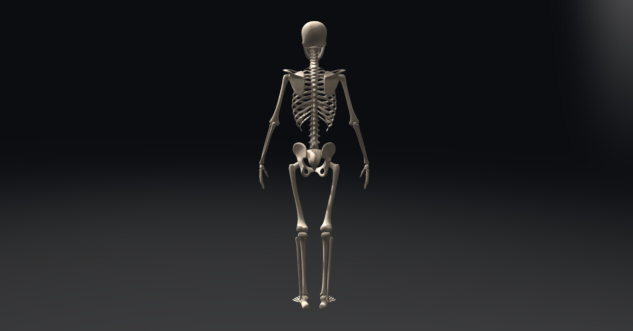 ArtStation - skeleton | Game Assets