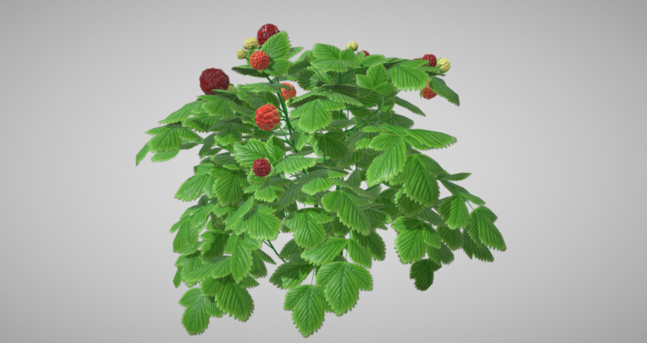 ArtStation - Berry tree | Game Assets