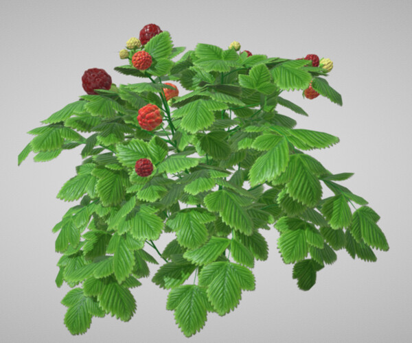 ArtStation - Berry tree | Game Assets