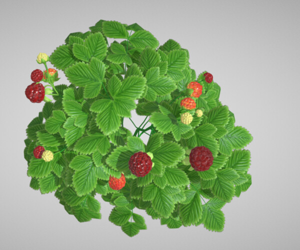 ArtStation - Berry tree | Game Assets