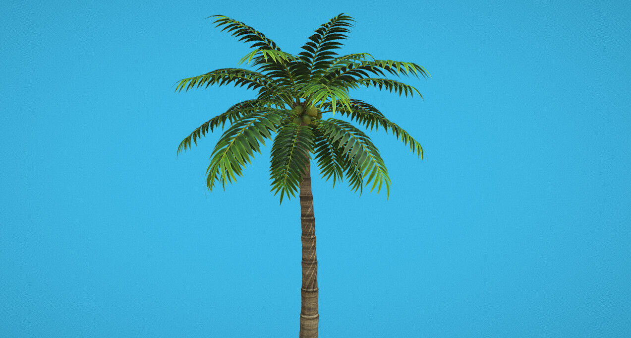 ArtStation - palm Tree | Game Assets
