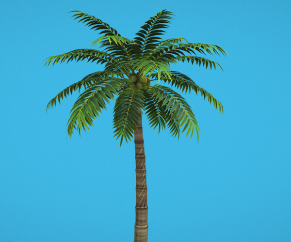 ArtStation - palm Tree | Game Assets