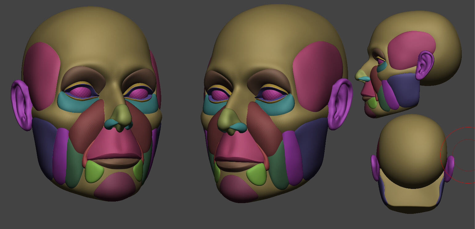 ArtStation - Realistic Head Anatomy Basemesh | Resources