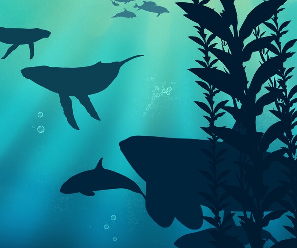 ArtStation - 77 Ocean Animals Brushes for Procreate Bundle | Brushes