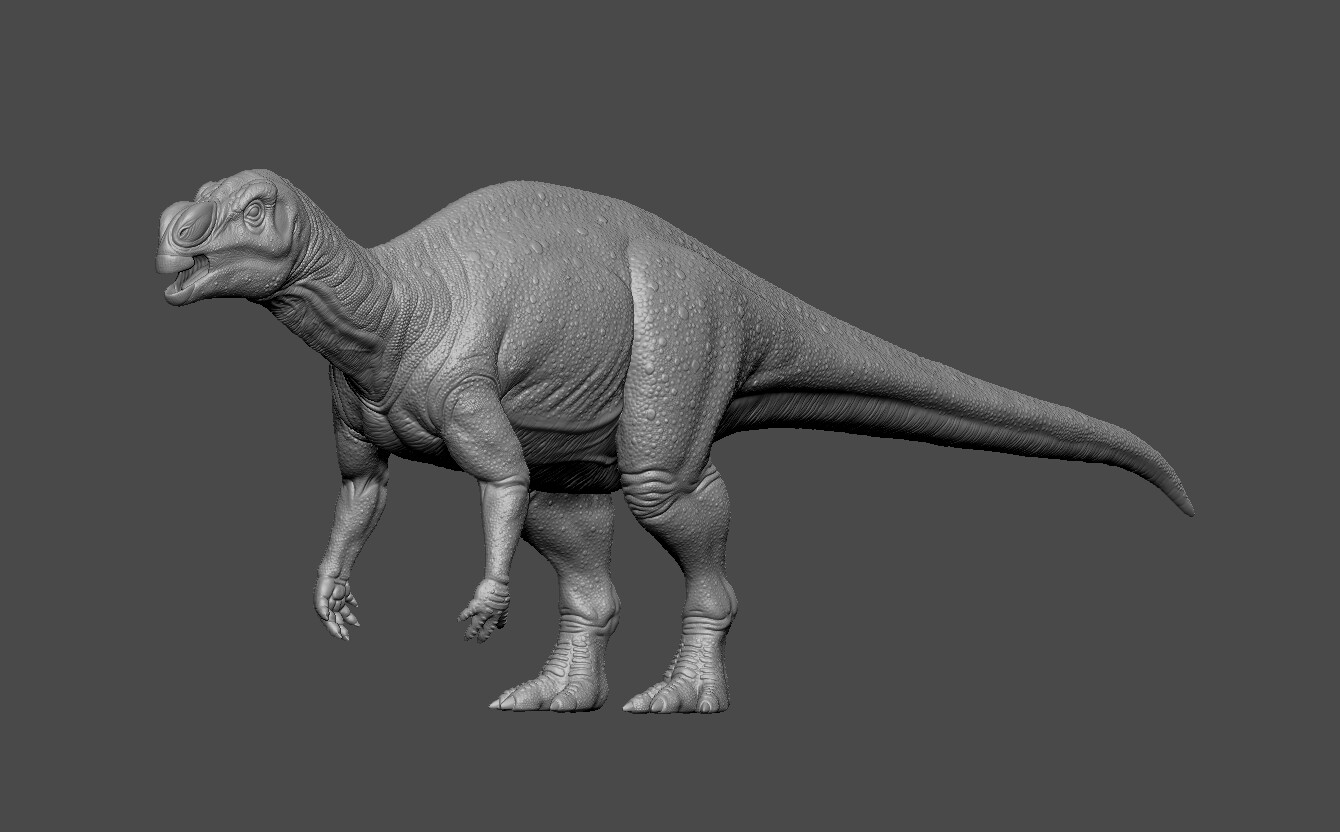 ArtStation - Muttaburrasaurus Dinosaur | Resources