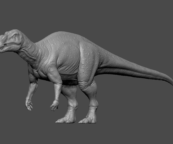 ArtStation - Muttaburrasaurus Dinosaur | Resources