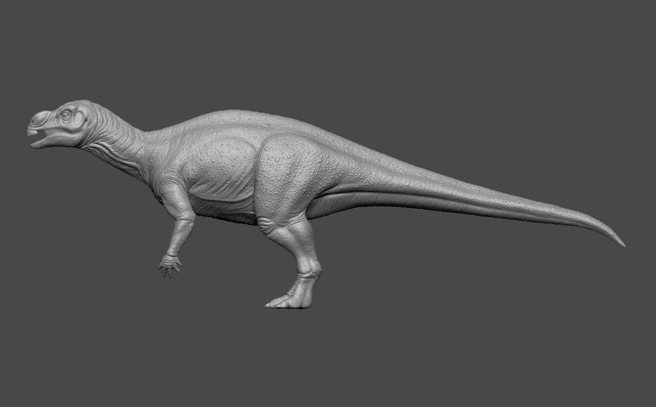 ArtStation - Muttaburrasaurus Dinosaur | Resources