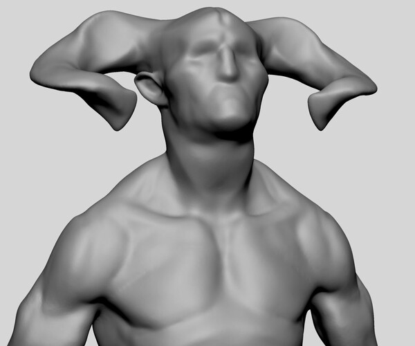 ArtStation - Base Creature Anatomy | Resources