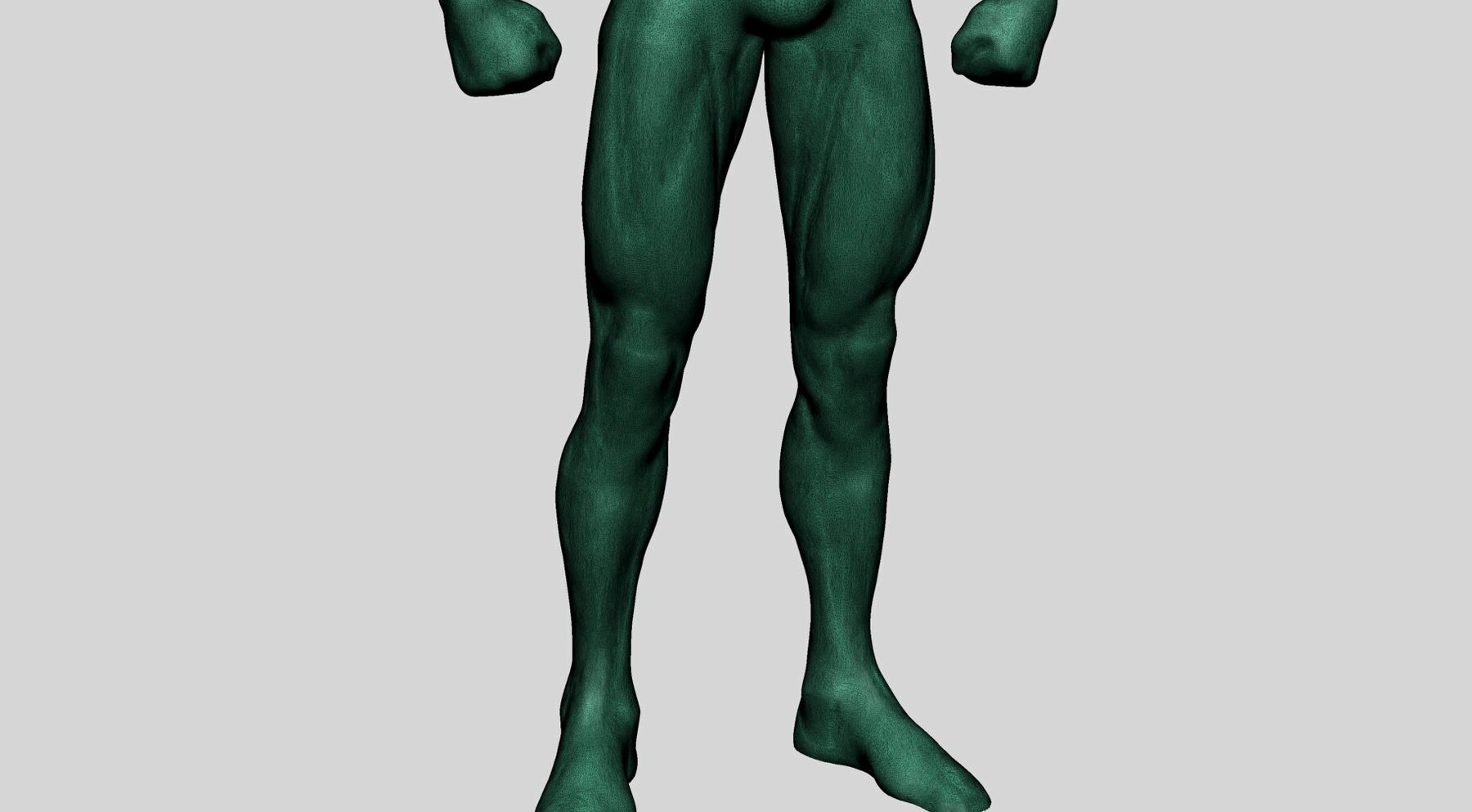 ArtStation - Base Creature Anatomy | Resources