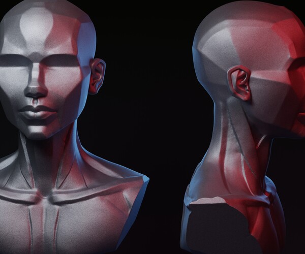 ArtStation - Base mesh - Head | Resources
