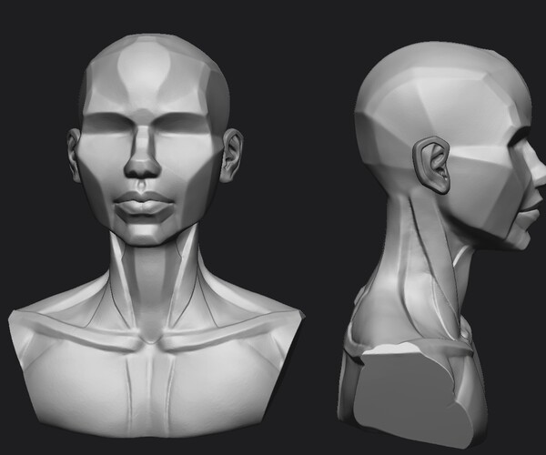 ArtStation - Base mesh - Head | Resources
