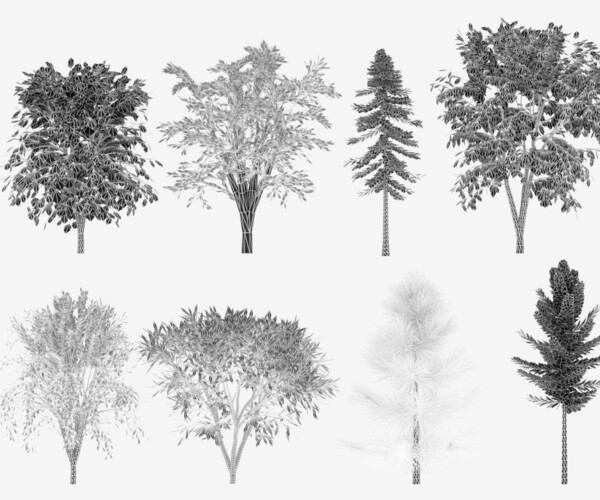 ArtStation - Tree Collection | Resources