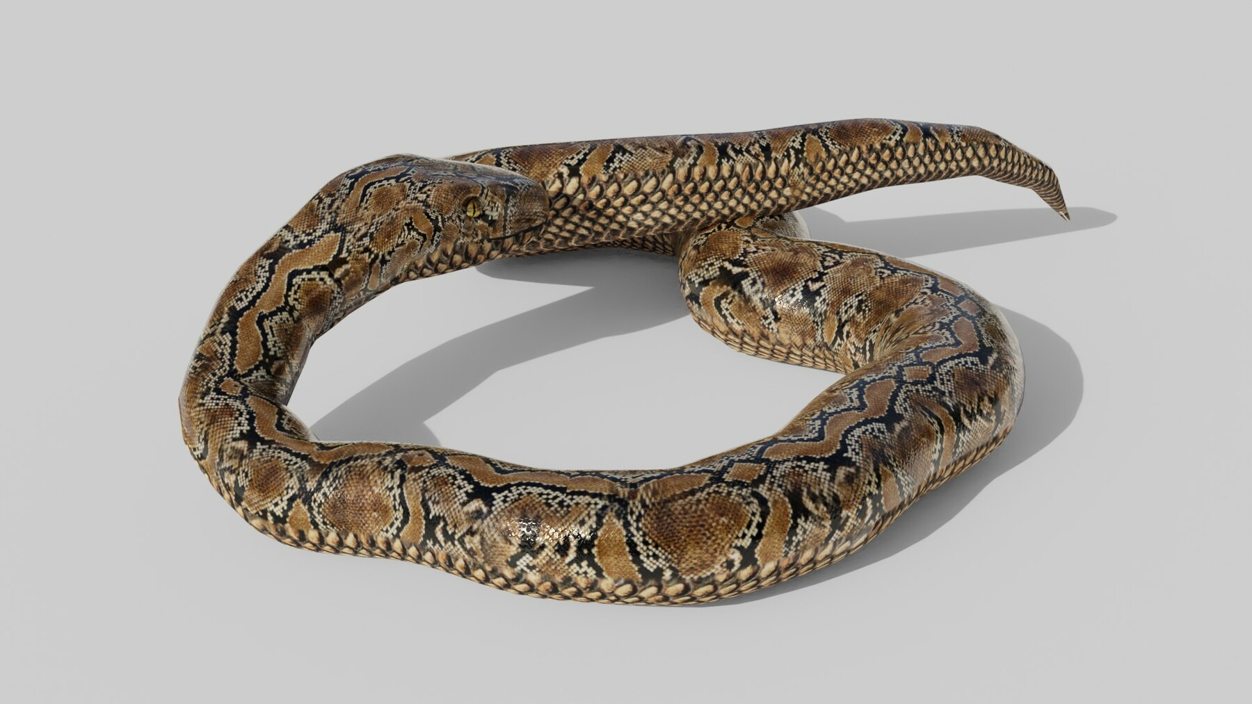 ArtStation - Python Snake - Low Poly - Game Ready - PBR | Game Assets