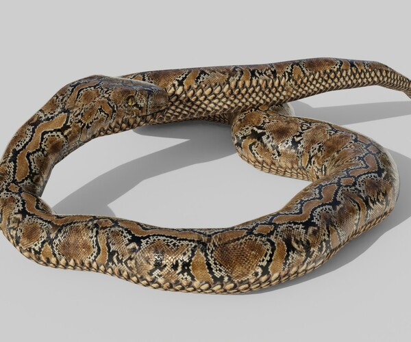 ArtStation - Python Snake - Low Poly - Game Ready - PBR | Game Assets