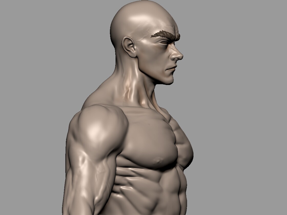 ArtStation - BASE MUSCULAR | Resources