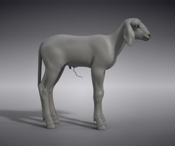 ArtStation - Baby Assaf Sheep Animated | VFX Grace | Game Assets