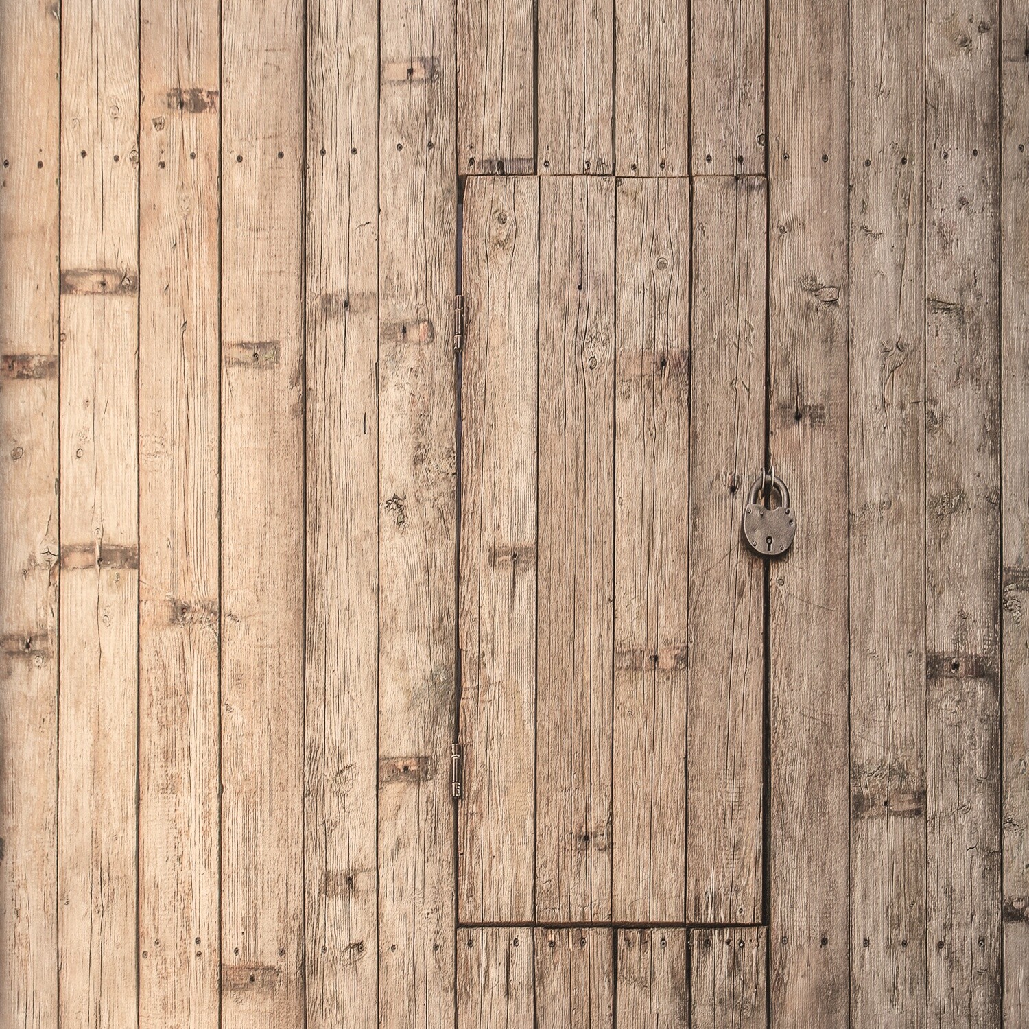 ArtStation - Wood 360 | Resources