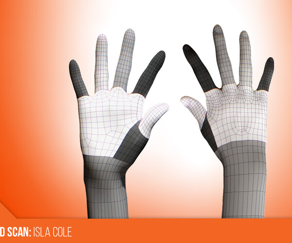 ArtStation - Retopologized 3D Hand Scan | Isla Cole | Resources