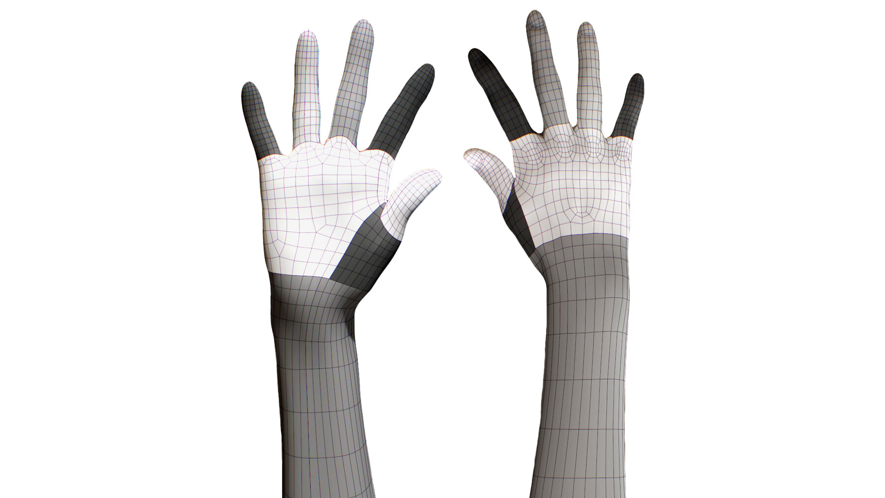 ArtStation - Retopologized 3D Hand Scan | Isla Cole | Resources