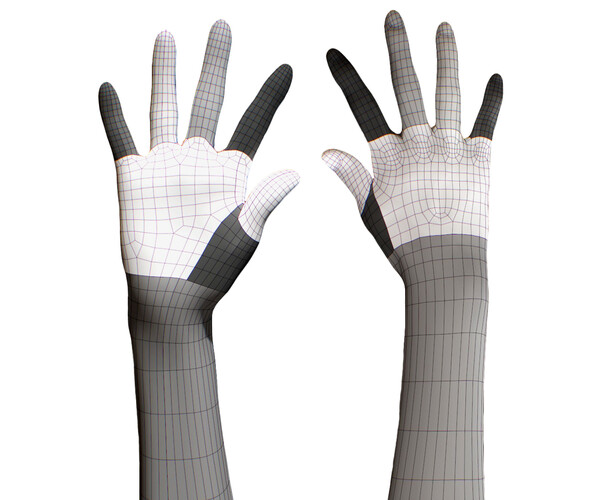 ArtStation - Retopologized 3D Hand Scan | Isla Cole | Resources