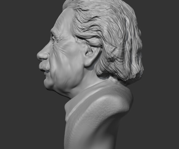 ArtStation - Einstein 3D print model | Resources