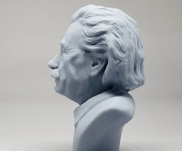 ArtStation - Einstein 3D print model | Resources