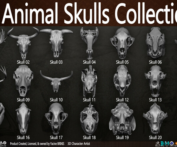 ArtStation - 20 Animal Skulls Collection 01 | Resources