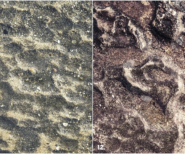 ArtStation - 20 Weathered Sea Concrete Textures & Backgrounds | Resources