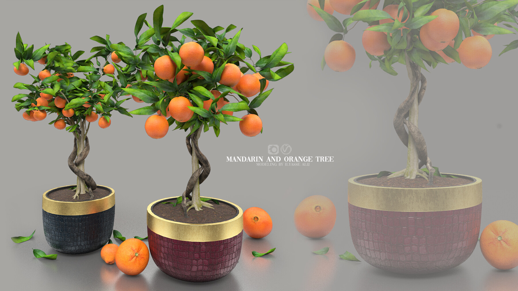 ArtStation - mandarin and orange tree | Game Assets