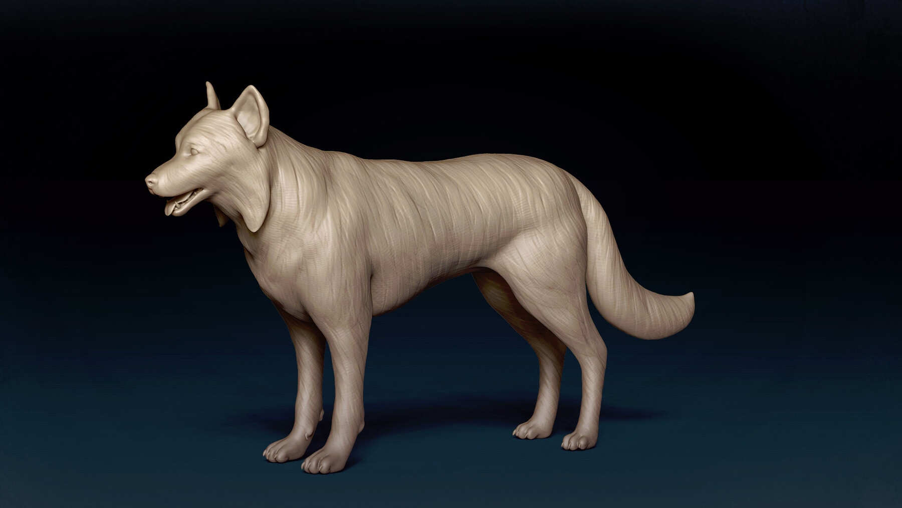 ArtStation - Border Collie Base Mesh 3D Model | Resources