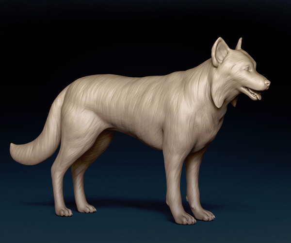 ArtStation - Border Collie Base Mesh 3D Model | Resources