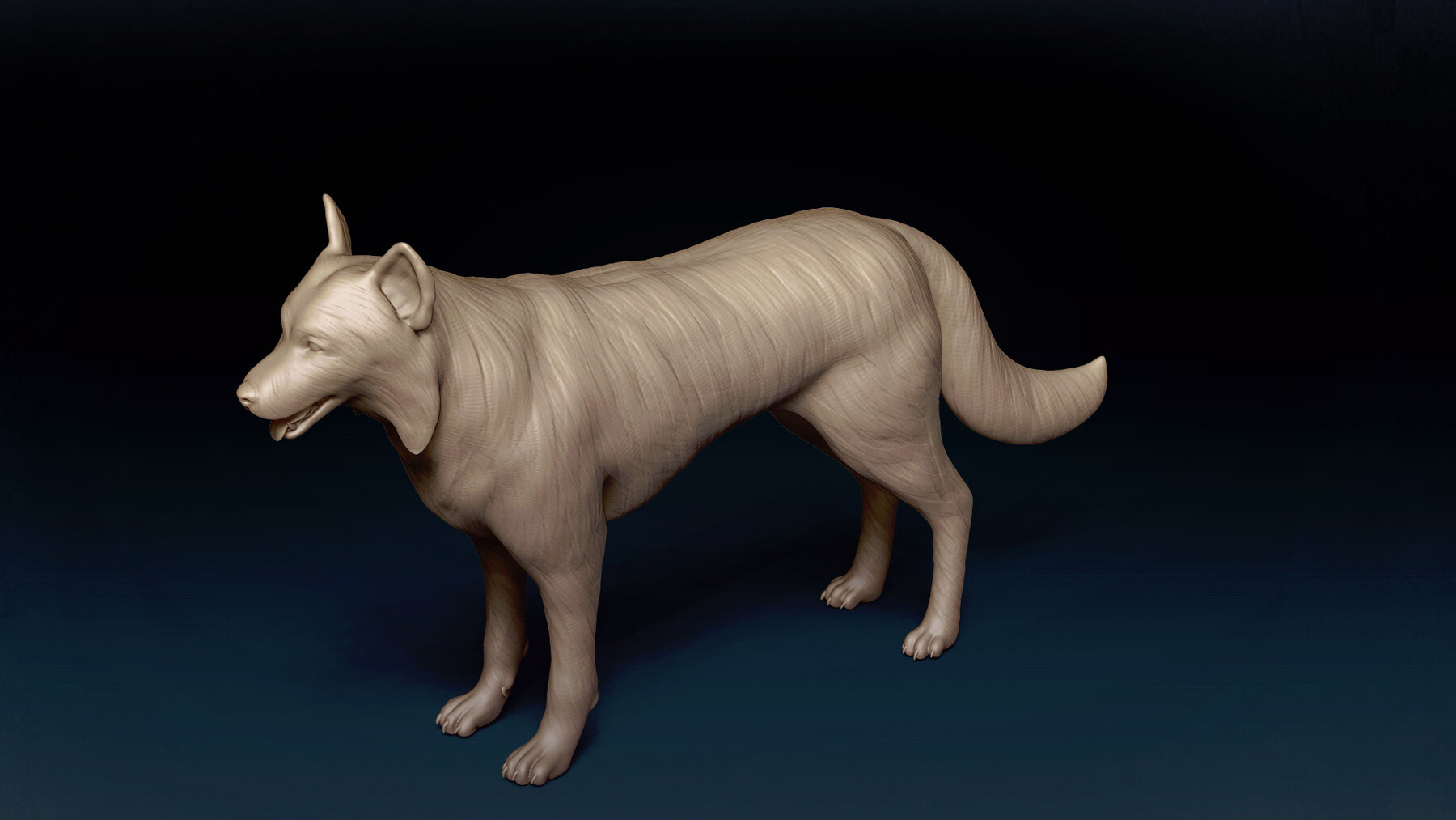 ArtStation - Border Collie Base Mesh 3D Model | Resources