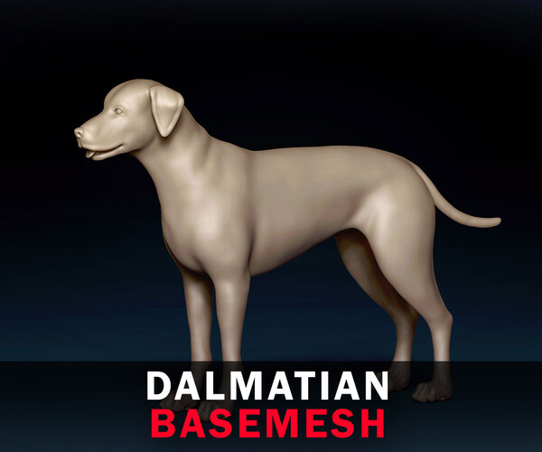 ArtStation - Dalmatian Base Mesh 3D Model | Resources