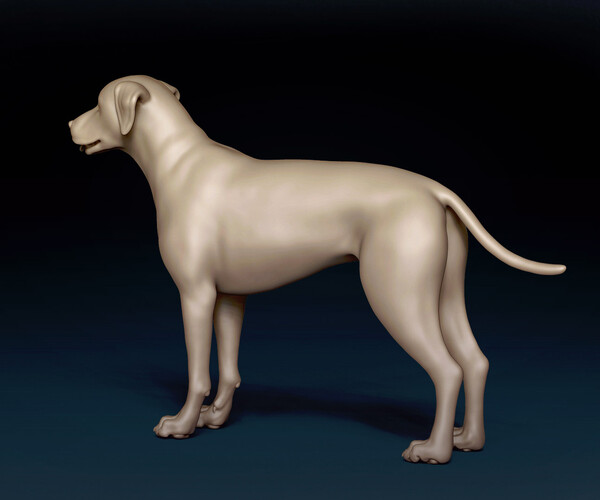 ArtStation - Dalmatian Base Mesh 3D Model | Resources