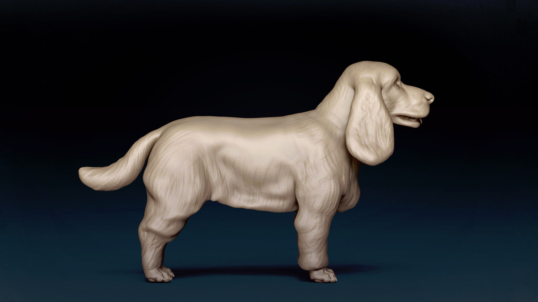 ArtStation - English Cocker Spaniel Base Mesh 3D Model | Resources