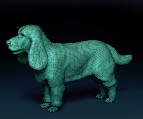 ArtStation - English Cocker Spaniel Base Mesh 3D Model | Resources