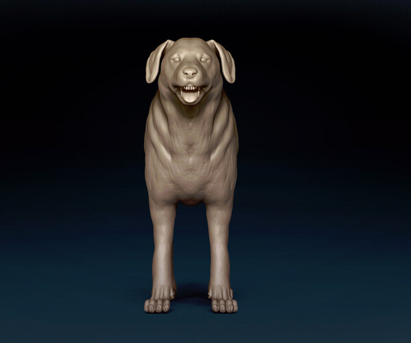 ArtStation - Golden Retriever Base Mesh 3D Model | Resources