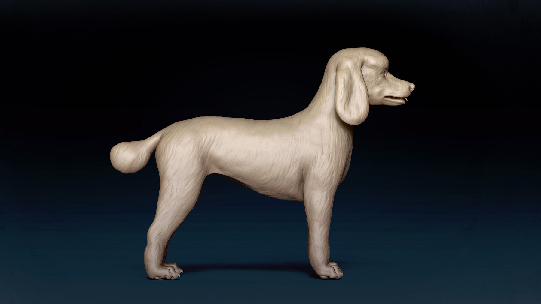 ArtStation - Large Poodle Base Mesh 3D Model | Resources