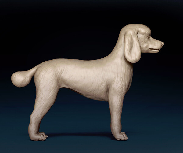 ArtStation - Large Poodle Base Mesh 3D Model | Resources