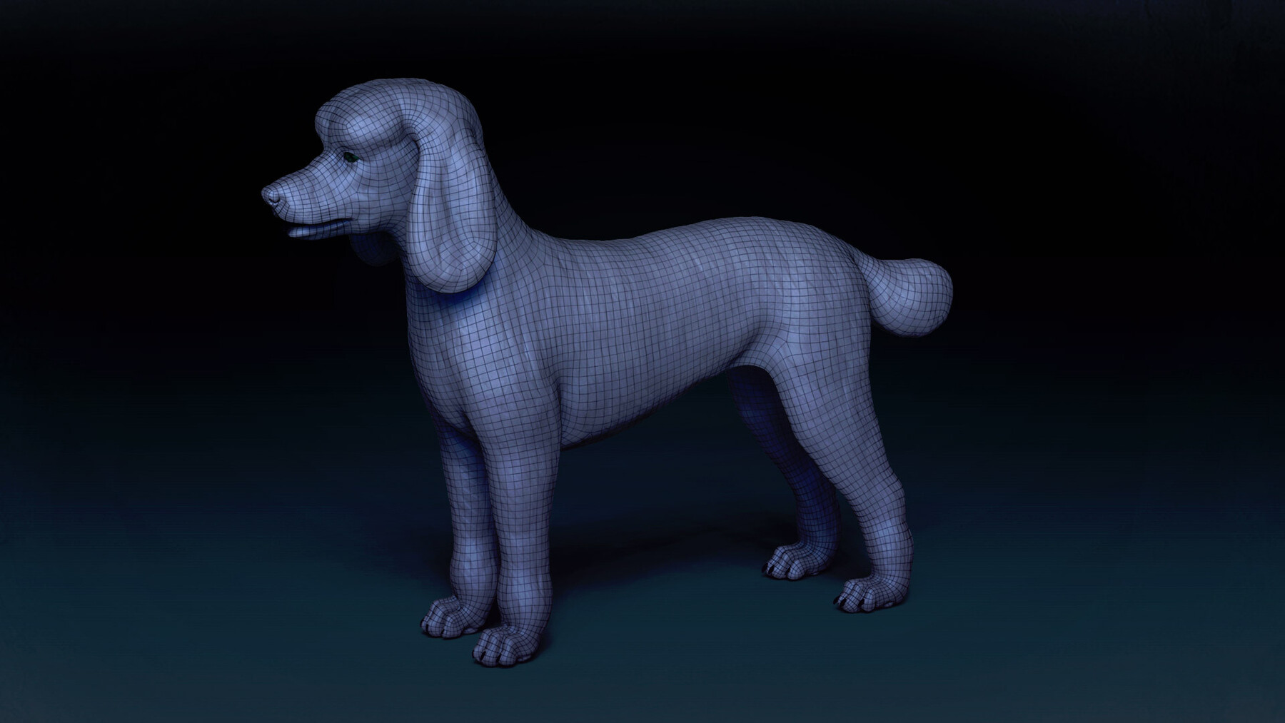 ArtStation - Large Poodle Base Mesh 3D Model | Resources