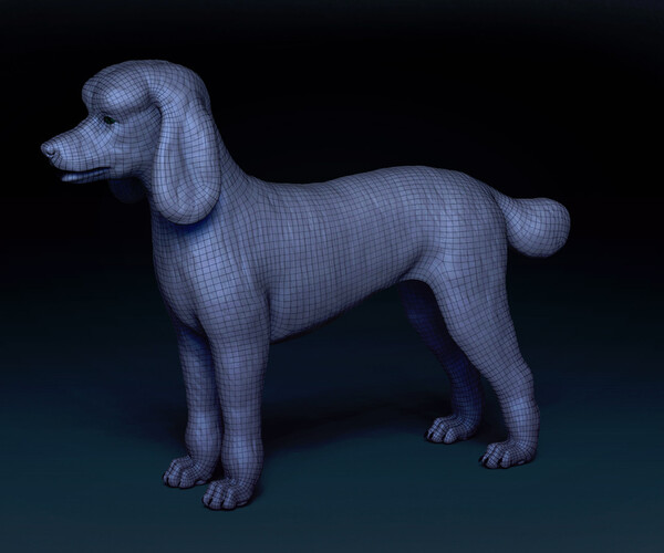 ArtStation - Large Poodle Base Mesh 3D Model | Resources