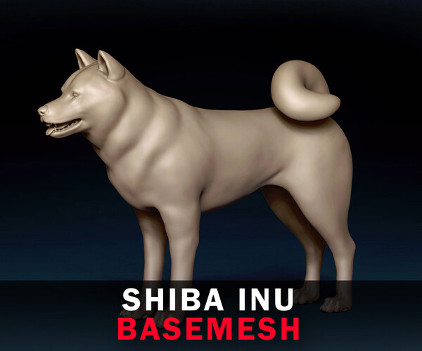 ArtStation - Shiba Inu Base Mesh 3D Model | Resources