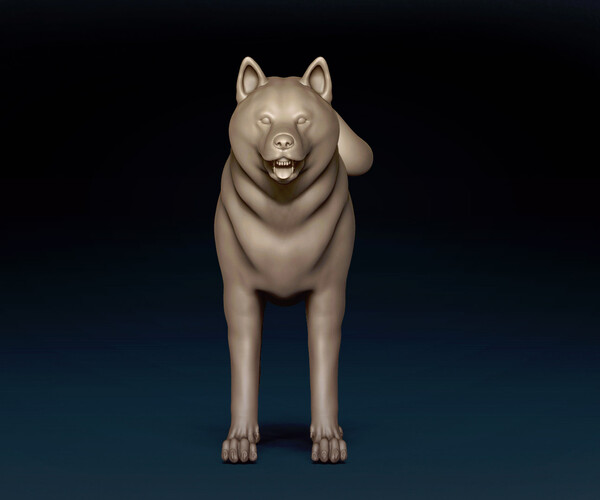 ArtStation - Shiba Inu Base Mesh 3D Model | Resources