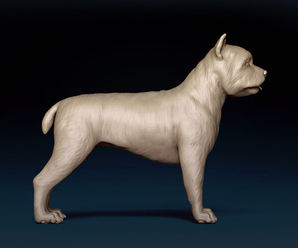 ArtStation - Yorkie Base Mesh 3D Model | Resources