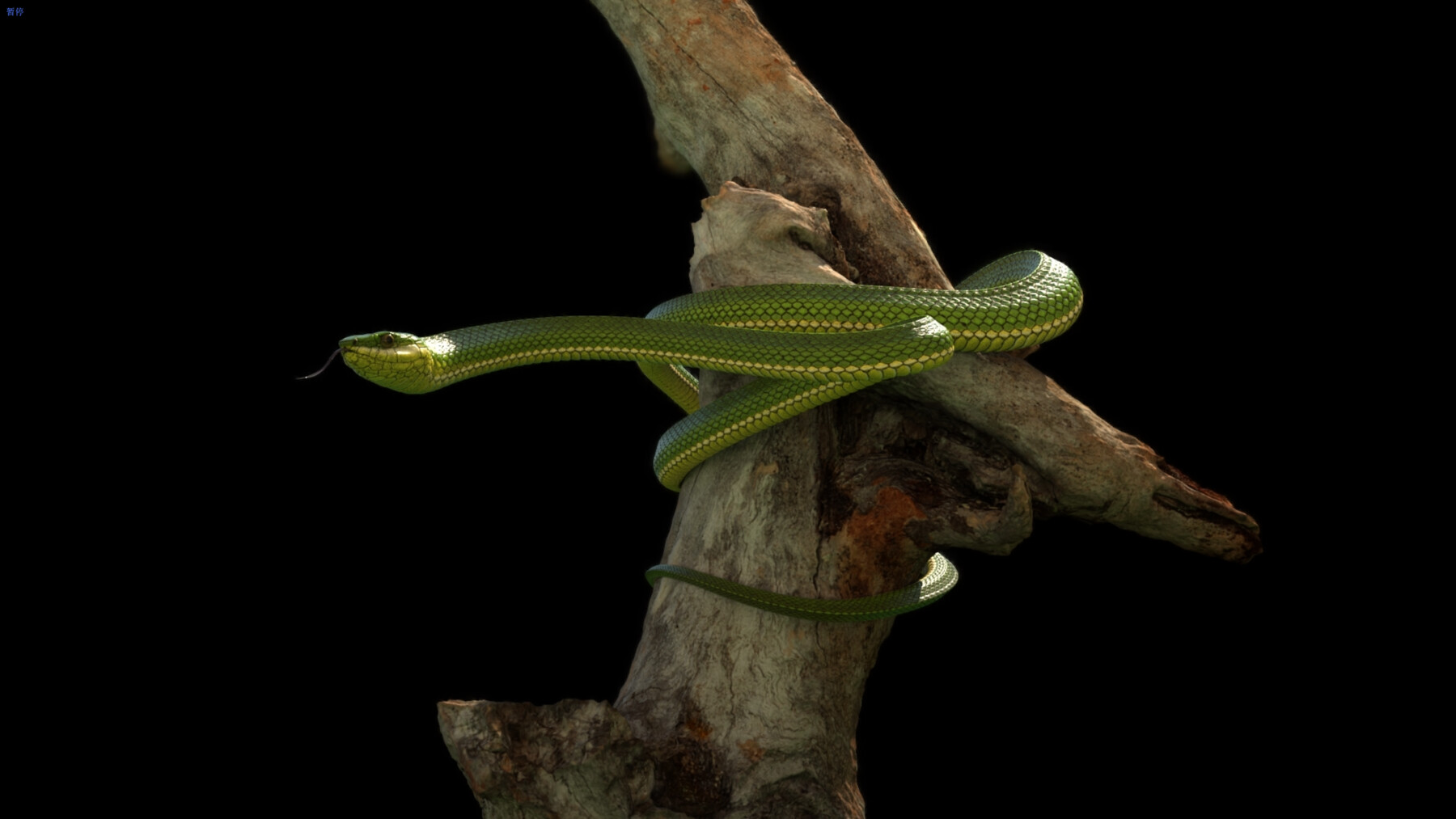 ArtStation - snake | Resources