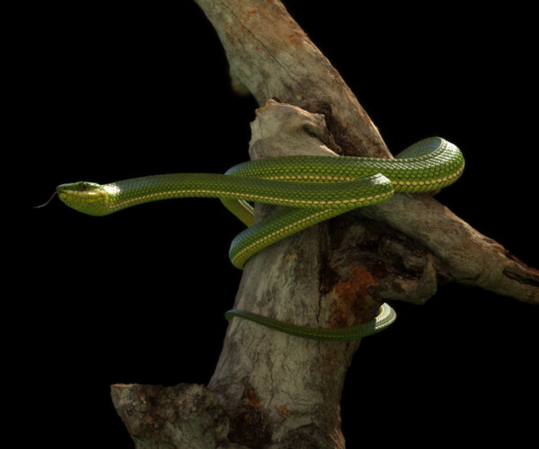 ArtStation - snake | Resources