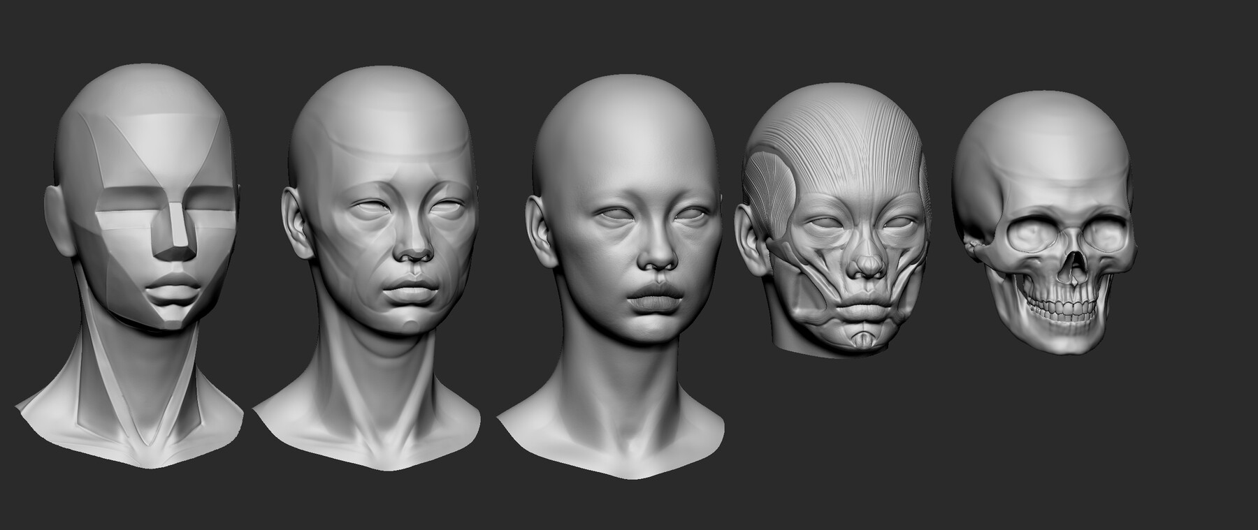 ArtStation - female head anatomy | Resources