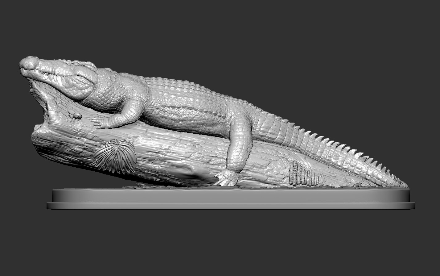 ArtStation - Crocodile in Tree | Resources