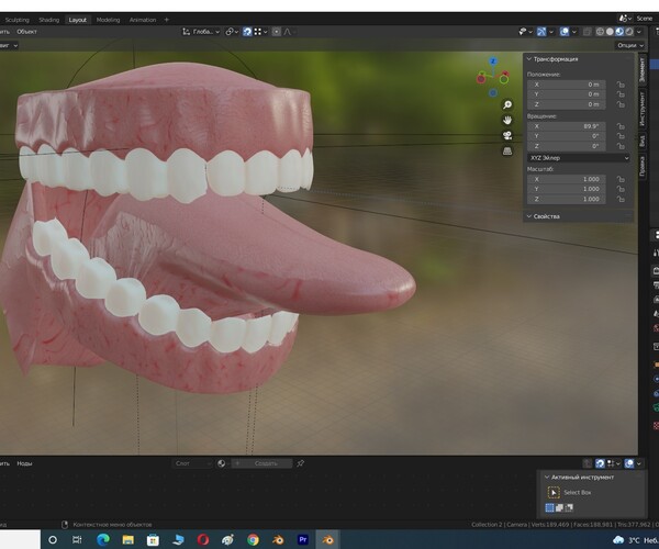 ArtStation - Realistic human jaw with teeth and tongue | Game Assets